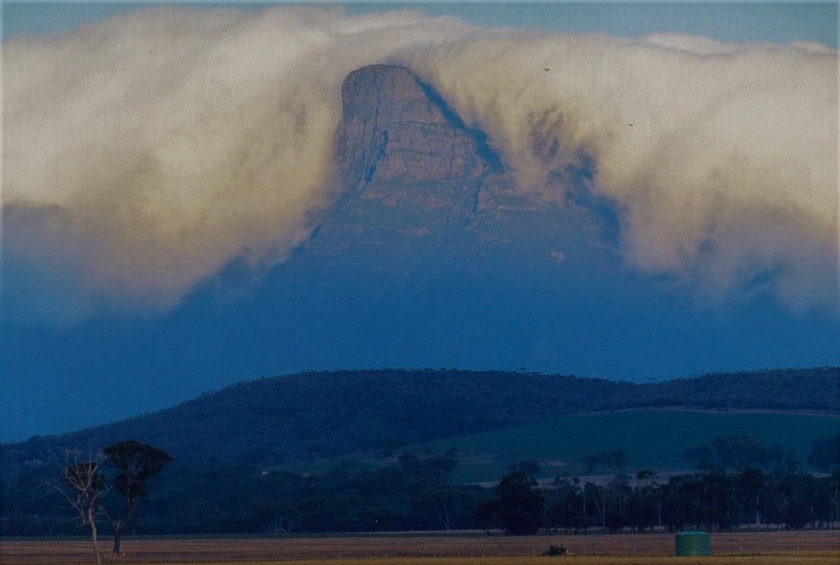Trekking, Orchids and Birding in the Stirling Ranges. – Quolling Around