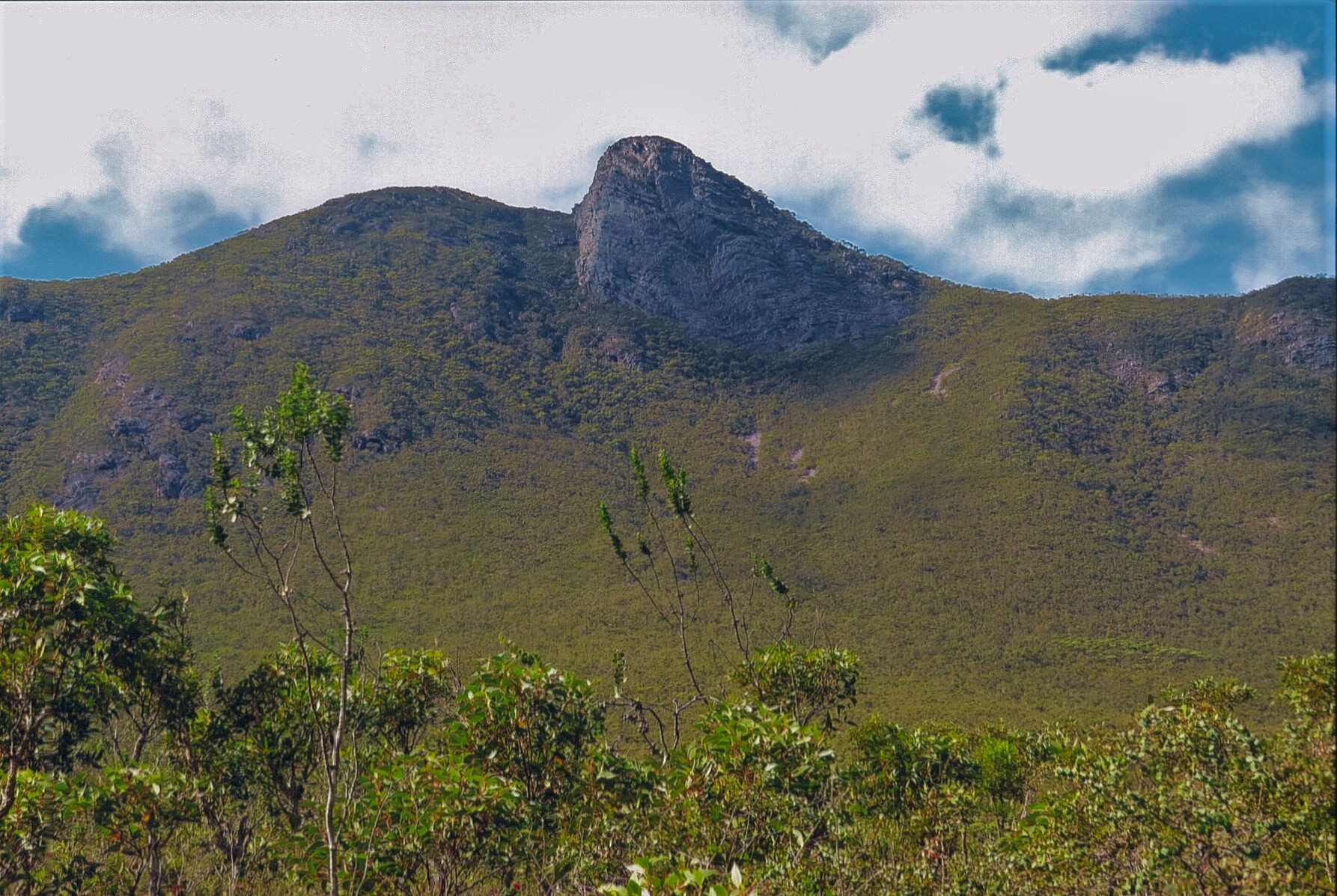 Trekking, Orchids and Birding in the Stirling Ranges. – Quolling Around