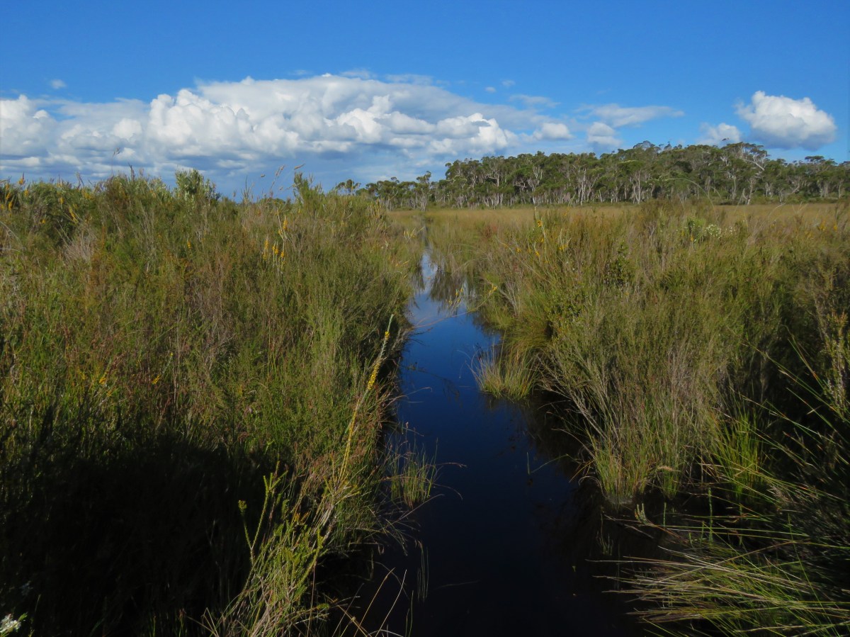 Bibbulmun Track Part 3 – Donnelly River – Pemberton – Northcliffe ...