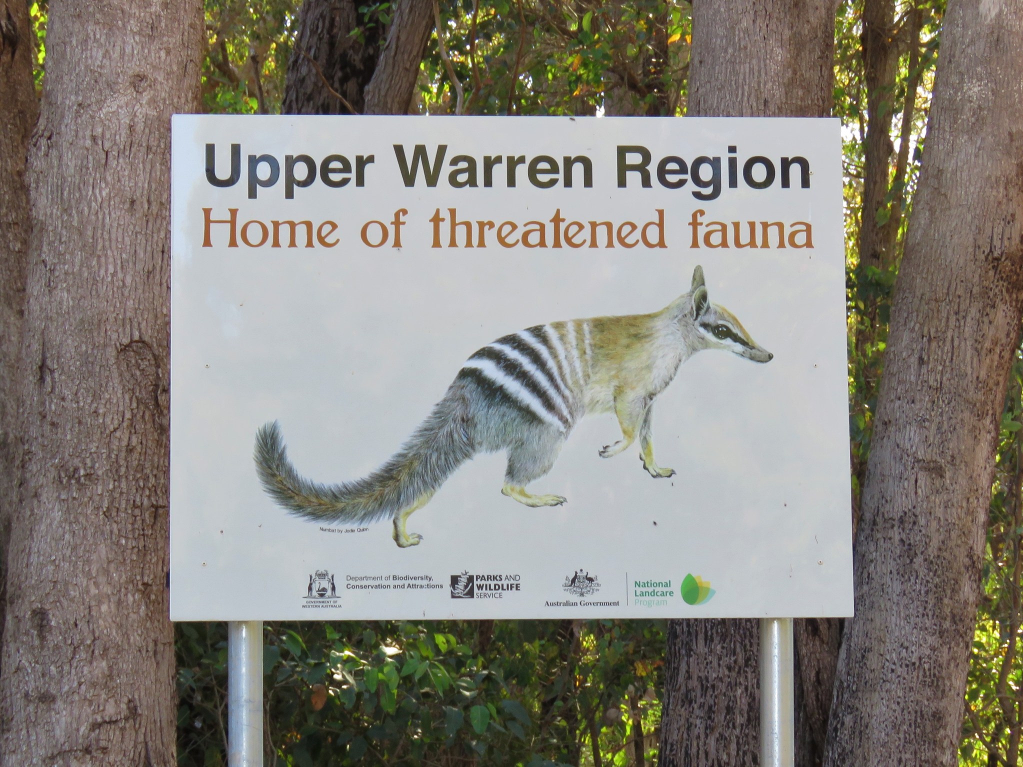 The Numbat Log – Perup Nature Reserve. – Quolling Around
