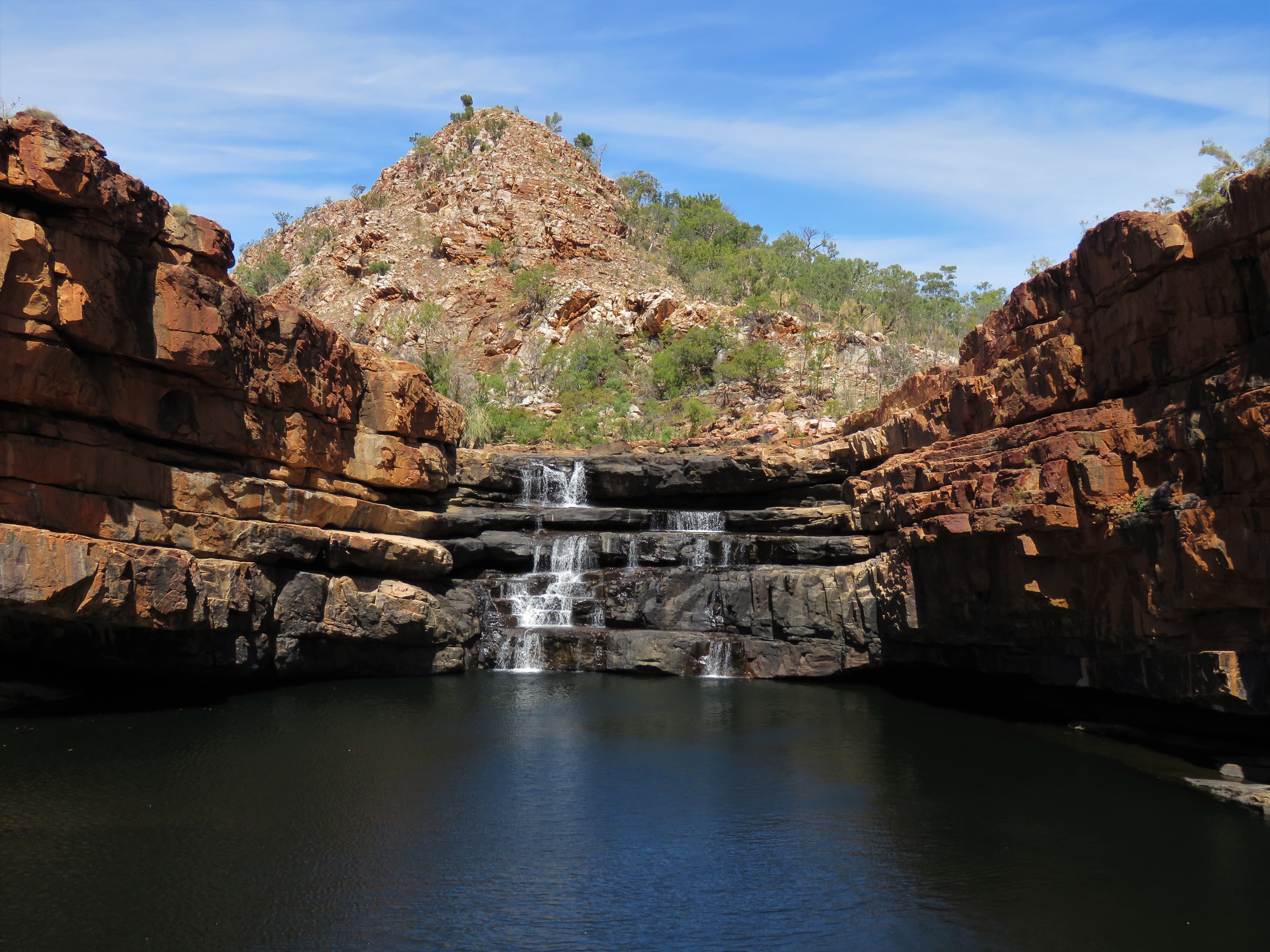 Kimberley Wildlife 2020 – Part 4 of 4 – Bell Gorge – Olive Python ...
