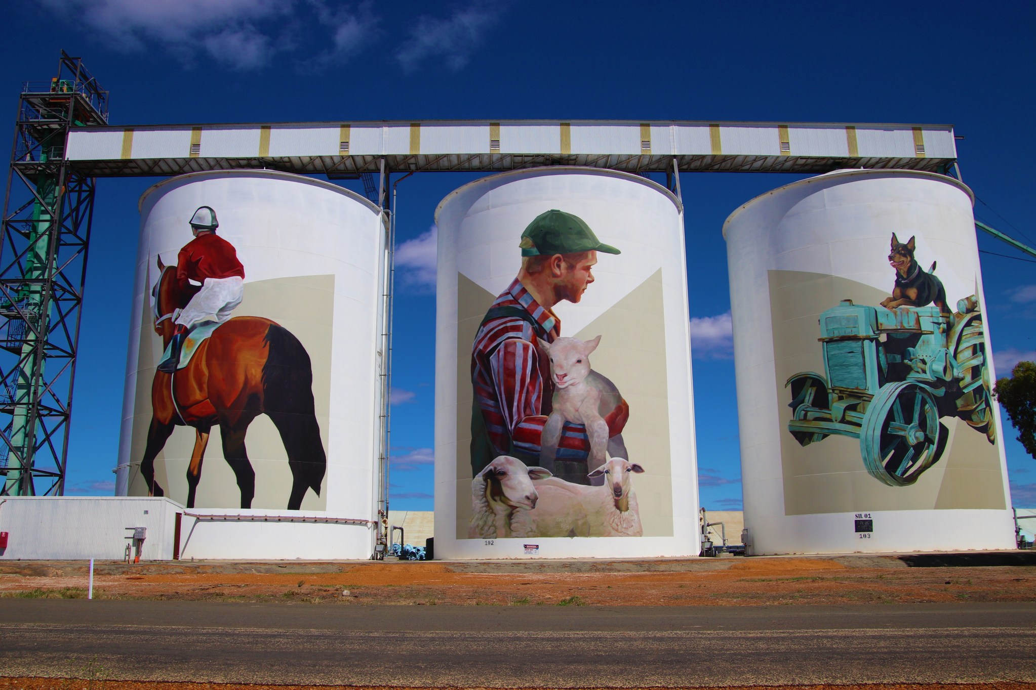 Australian Lizards – Herping the Thorny Devil – Quolling Around