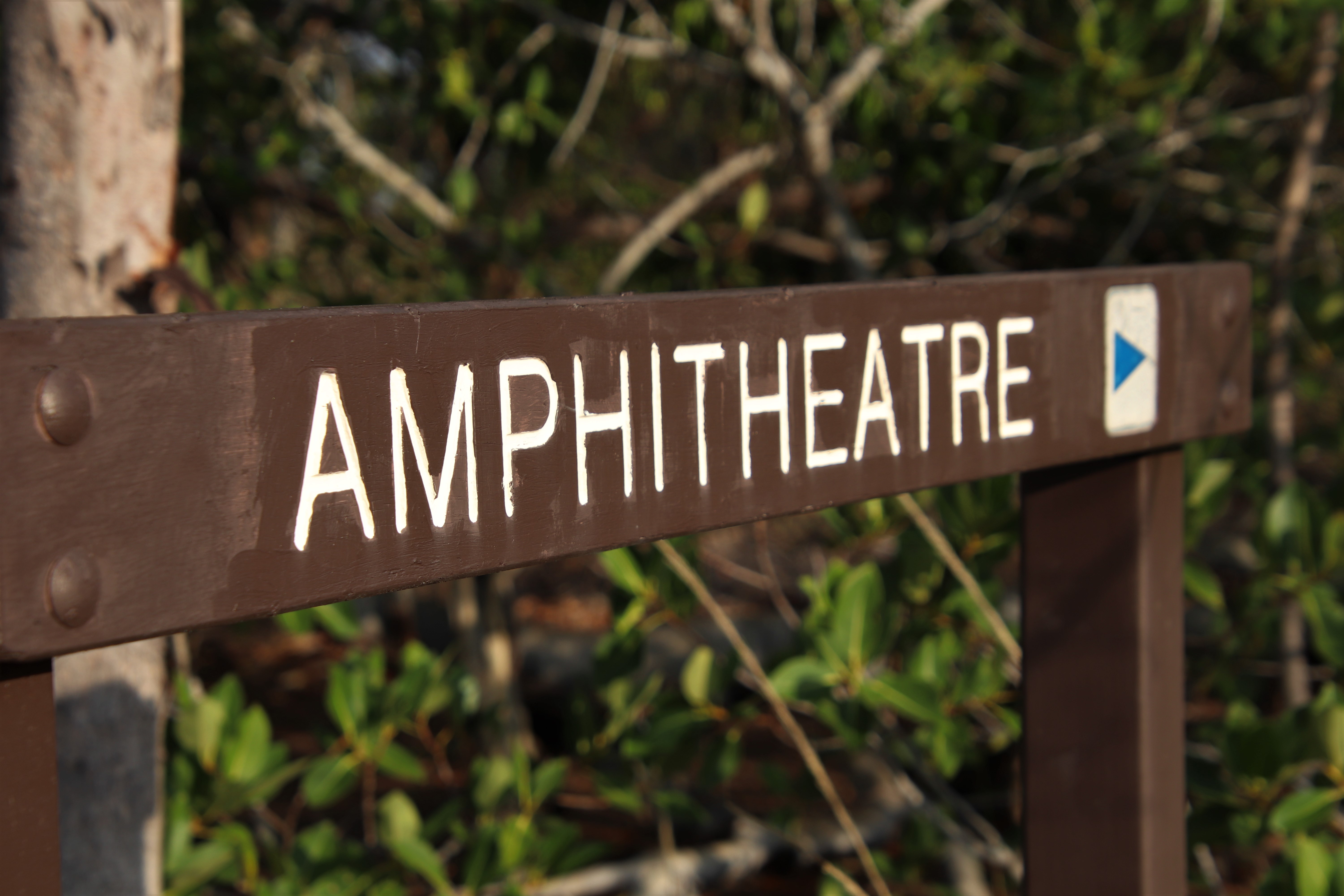 Northern Australia Part 2 – The Jatbula Trail – Quolling Around