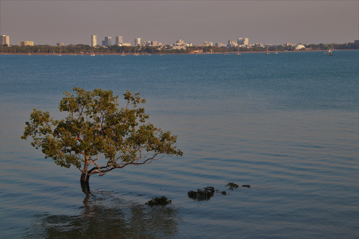 Northern Australia Part 1- Wildlife Around Darwin – Quolling Around