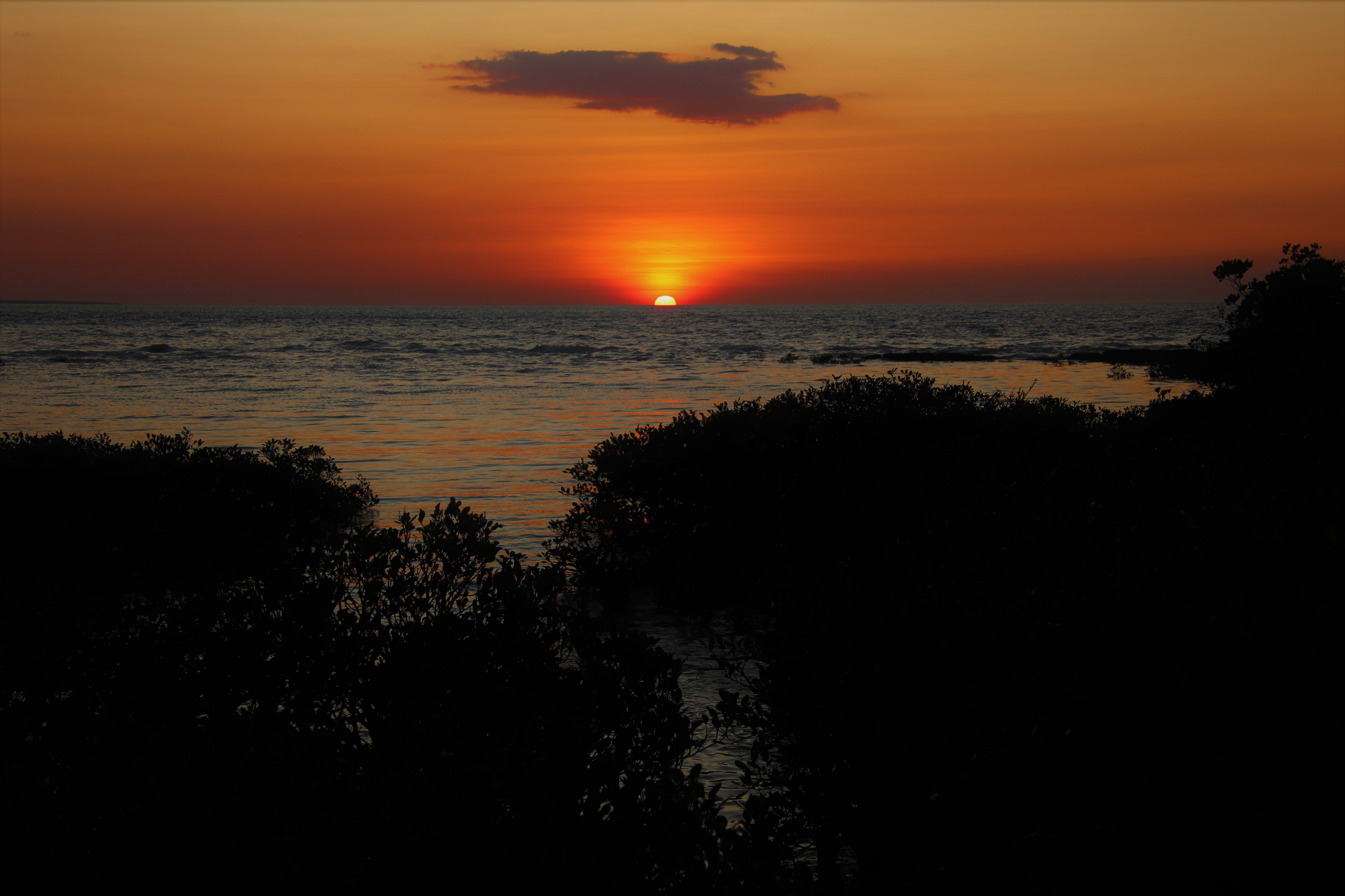 Northern Australia Part 1- Wildlife Around Darwin – Quolling Around