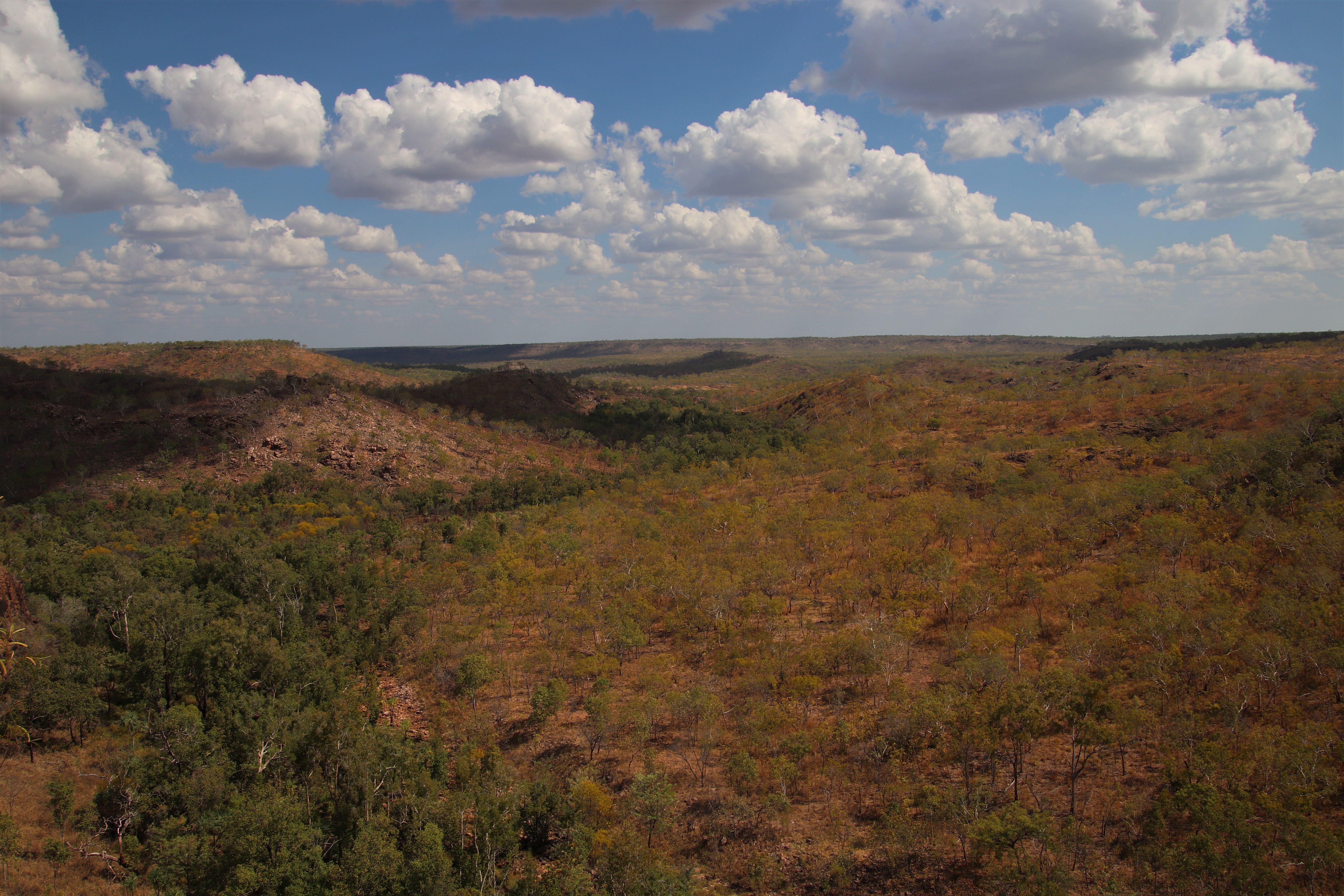 Northern Australia Part 2 – The Jatbula Trail – Quolling Around