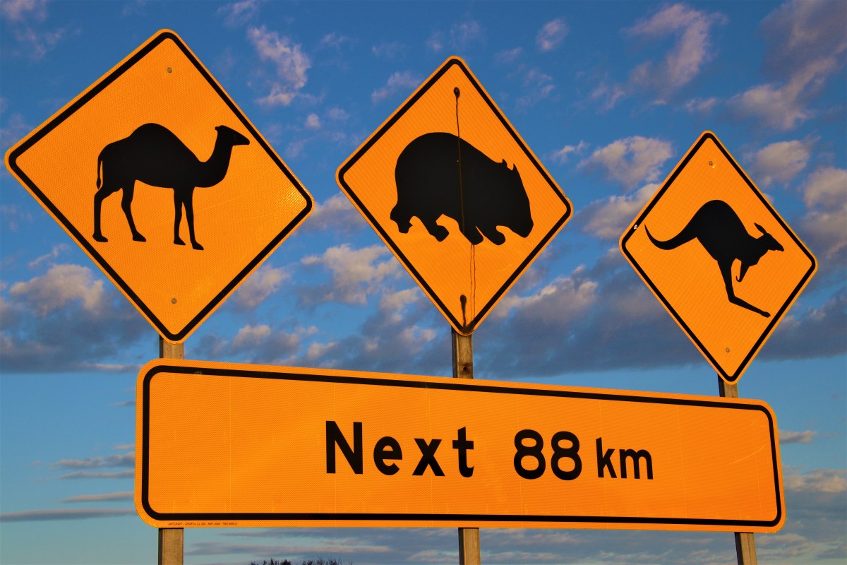 South Australia Part 1 of 4 – Crossing the Nullarbor. – Quolling Around